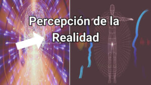 Por Los Pensamientos Creamos Realidad ¿Cómo Se Hace?